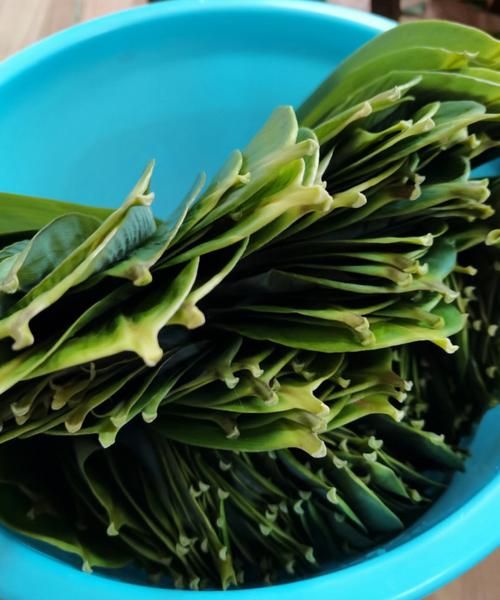 包粽子红豆要泡多久_红豆泡多久才能包粽子-第1张图片-山城妙识