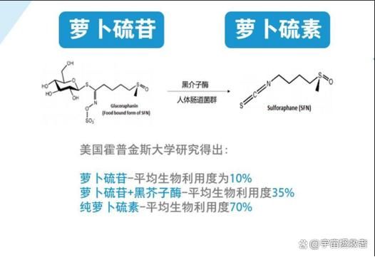 萝卜硫素骗局是真的吗_如何辨别虚假宣传-第1张图片-山城妙识