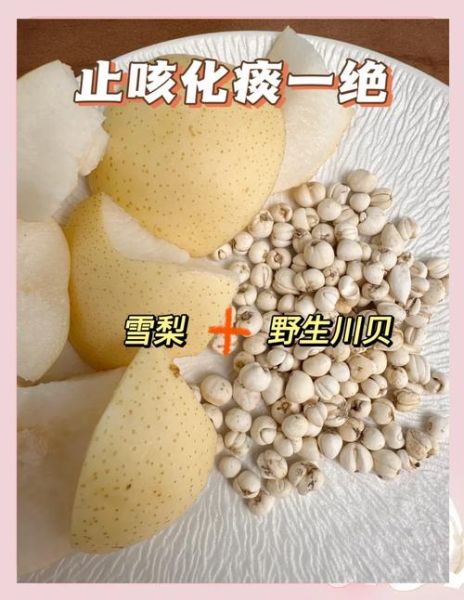 小孩咳嗽能吃川贝炖雪梨吗_川贝炖雪梨适合多大孩子-第1张图片-山城妙识