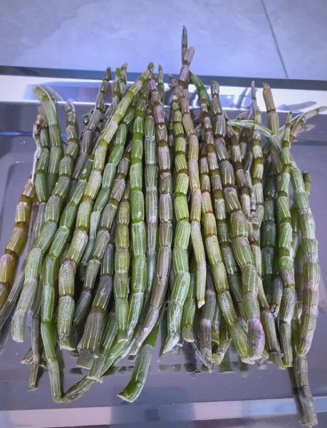 新鲜石斛怎么吃_石斛鲜条一天吃几根-第2张图片-山城妙识