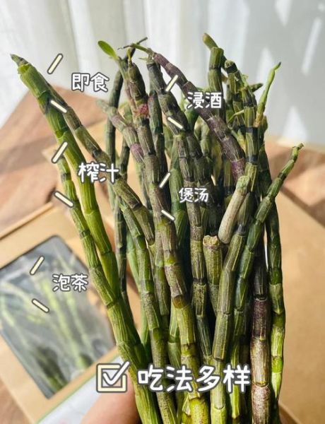 新鲜石斛怎么吃_石斛鲜条一天吃几根-第1张图片-山城妙识