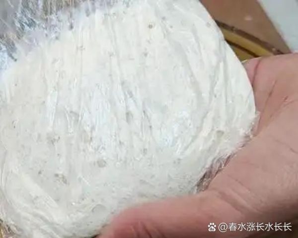 稀面发面软饼怎么做_为什么总是发不起来-第2张图片-山城妙识