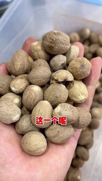 肉蔻和草果的区别_哪个更适合炖肉-第3张图片-山城妙识