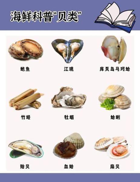 贝类品种大全_贝类有哪些常见种类-第3张图片-山城妙识