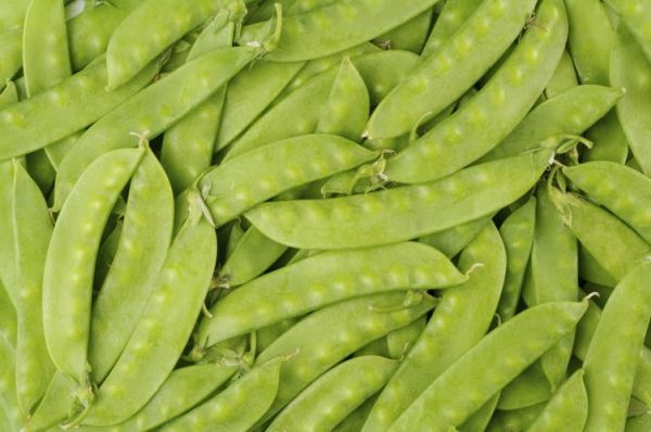 豌豆荚普通下载安装教程_豌豆荚普通版怎么下载-第3张图片-山城妙识