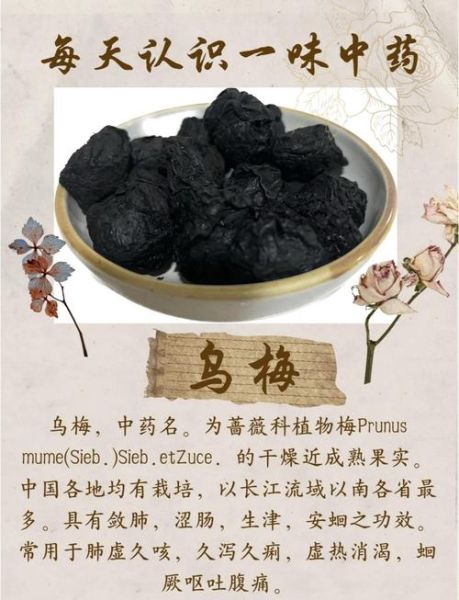 乌梅的功效与作用及禁忌_孕妇能吃吗-第1张图片-山城妙识 乌梅的功效与作用及禁忌_孕妇能吃吗-第1张图片-山城妙识