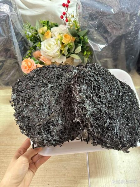 野生紫菜怎么分辨_野生紫菜营养价值-第2张图片-山城妙识 野生紫菜怎么分辨_野生紫菜营养价值-第2张图片-山城妙识