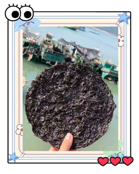 野生紫菜怎么分辨_野生紫菜营养价值-第3张图片-山城妙识 野生紫菜怎么分辨_野生紫菜营养价值-第3张图片-山城妙识