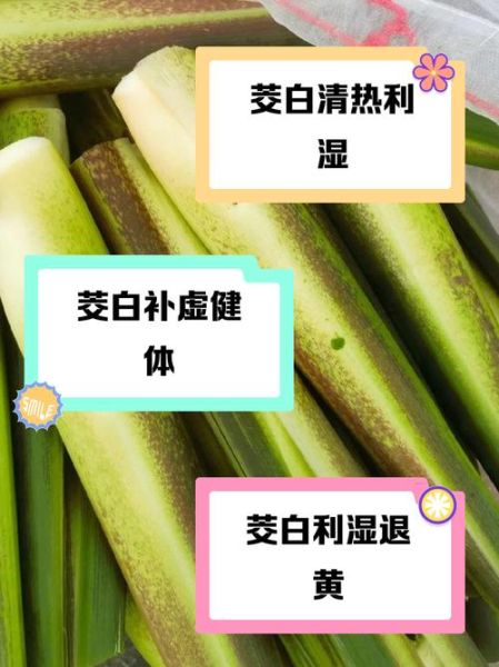 茭白是发物吗_术后能吃茭白吗-第1张图片-山城妙识 茭白是发物吗_术后能吃茭白吗-第1张图片-山城妙识