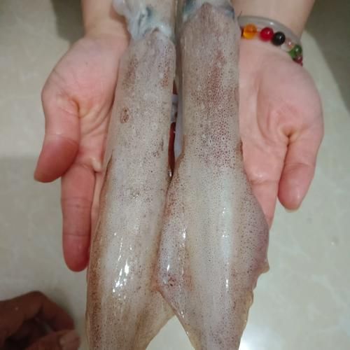 小鱿鱼仔怎么处理_冷冻小鱿鱼仔怎么清洗-第2张图片-山城妙识 小鱿鱼仔怎么处理_冷冻小鱿鱼仔怎么清洗-第2张图片-山城妙识