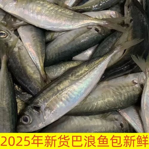 巴鱼是什么鱼_巴鱼图片怎么区分真假-第1张图片-山城妙识