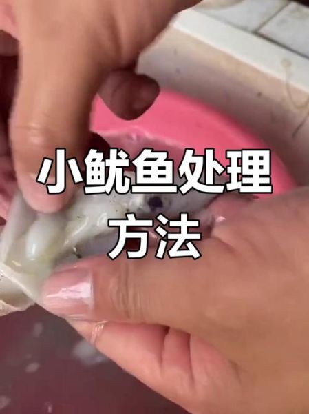 小鱿鱼仔怎么处理_冷冻小鱿鱼仔怎么清洗-第1张图片-山城妙识 小鱿鱼仔怎么处理_冷冻小鱿鱼仔怎么清洗-第1张图片-山城妙识