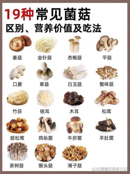 常见食用菌种类有哪些_如何挑选新鲜菇类-第3张图片-山城妙识 常见食用菌种类有哪些_如何挑选新鲜菇类-第3张图片-山城妙识
