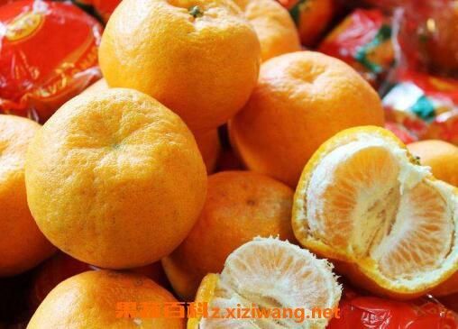 芦柑皮的功效与作用_芦柑皮能减肥吗-第1张图片-山城妙识 芦柑皮的功效与作用_芦柑皮能减肥吗-第1张图片-山城妙识