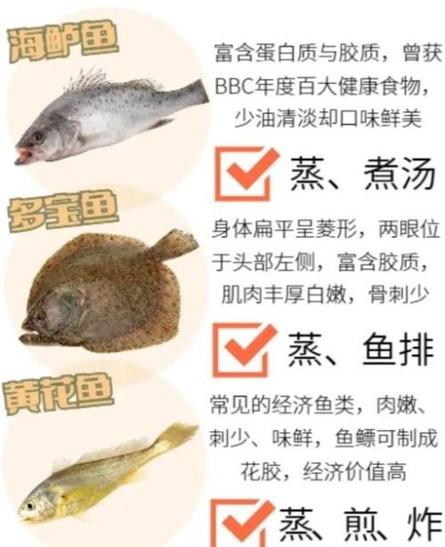 哪些鱼可以吃_常见可食用鱼图片及名称-第3张图片-山城妙识