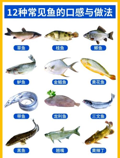 哪些鱼可以吃_常见可食用鱼图片及名称-第1张图片-山城妙识