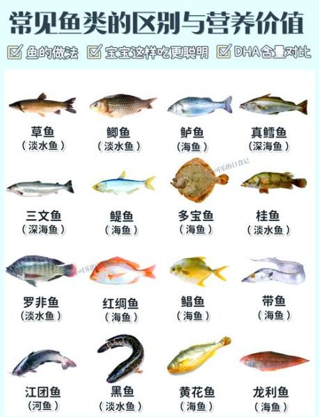 哪些鱼可以吃_常见可食用鱼图片及名称-第2张图片-山城妙识