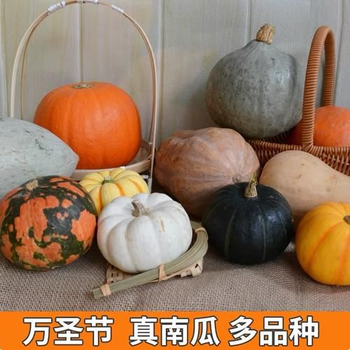 万圣节南瓜灯怎么做_雕刻南瓜灯需要哪些工具-第1张图片-山城妙识