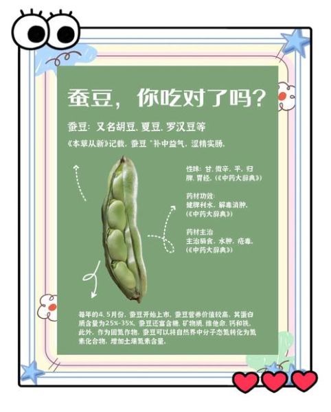 蚕豆不能和什么一起吃_蚕豆相克食物有哪些-第2张图片-山城妙识