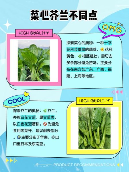 菜心和芥蓝的区别_如何一眼区分菜心芥蓝-第1张图片-山城妙识