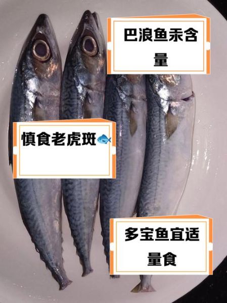 十大脏鱼有哪些_如何避免吃到高汞鱼-第2张图片-山城妙识