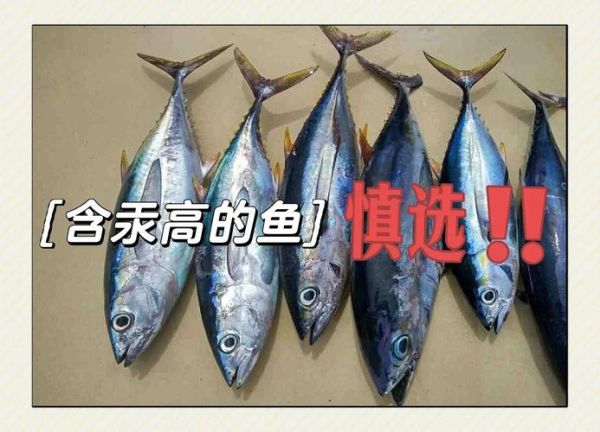 十大脏鱼有哪些_如何避免吃到高汞鱼-第1张图片-山城妙识