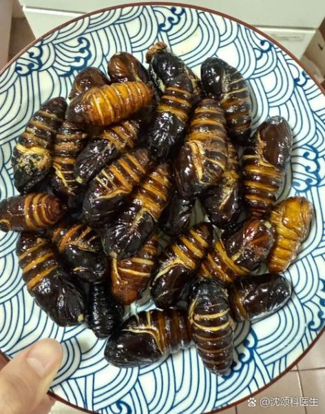 蝉蛹过敏怎么办_蝉蛹过敏症状有哪些-第2张图片-山城妙识 蝉蛹过敏怎么办_蝉蛹过敏症状有哪些-第2张图片-山城妙识