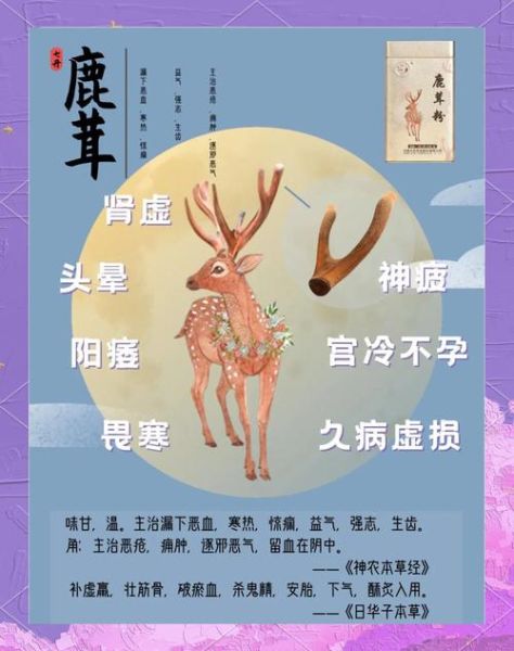 女人吃鹿茸有什么好处_女人吃鹿茸的禁忌-第2张图片-山城妙识 女人吃鹿茸有什么好处_女人吃鹿茸的禁忌-第2张图片-山城妙识