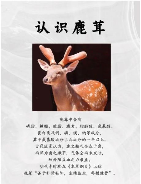 女人吃鹿茸有什么好处_女人吃鹿茸的禁忌-第1张图片-山城妙识 女人吃鹿茸有什么好处_女人吃鹿茸的禁忌-第1张图片-山城妙识