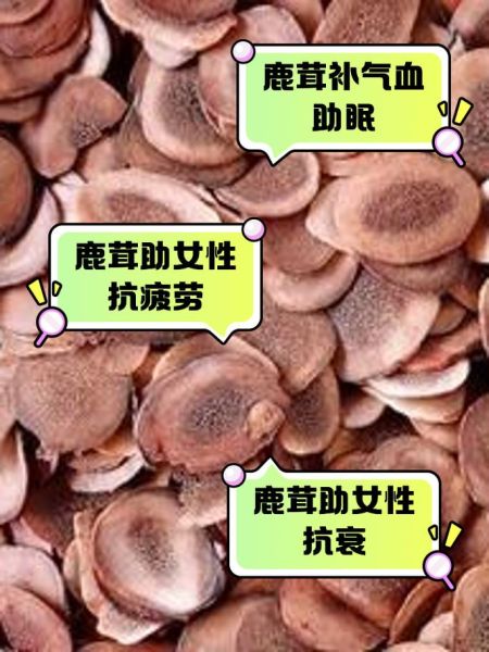 女人吃鹿茸有什么好处_女人吃鹿茸的禁忌-第3张图片-山城妙识 女人吃鹿茸有什么好处_女人吃鹿茸的禁忌-第3张图片-山城妙识
