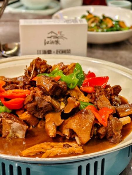 红烧老鹅怎么做好吃_红烧老鹅的家常做法-第1张图片-山城妙识