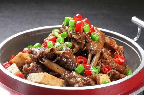 红烧老鹅怎么做好吃_红烧老鹅的家常做法-第2张图片-山城妙识