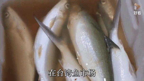 虱目鱼在广东叫什么_广东人怎么称呼虱目鱼-第1张图片-山城妙识