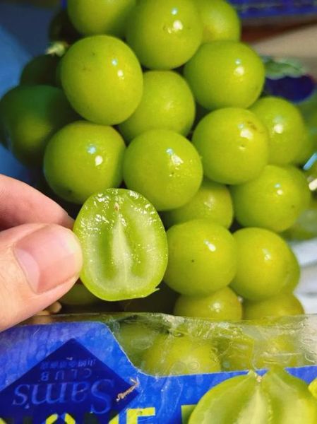 提子一天最多吃几颗_吃多了会怎样-第2张图片-山城妙识 提子一天最多吃几颗_吃多了会怎样-第2张图片-山城妙识