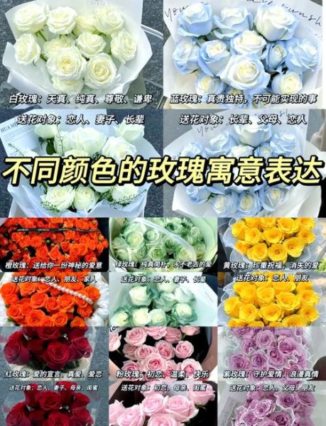 白玫瑰花语大全_送白玫瑰代表什么-第2张图片-山城妙识 白玫瑰花语大全_送白玫瑰代表什么-第2张图片-山城妙识