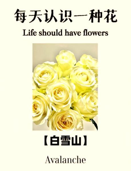 白玫瑰花语大全_送白玫瑰代表什么-第3张图片-山城妙识 白玫瑰花语大全_送白玫瑰代表什么-第3张图片-山城妙识