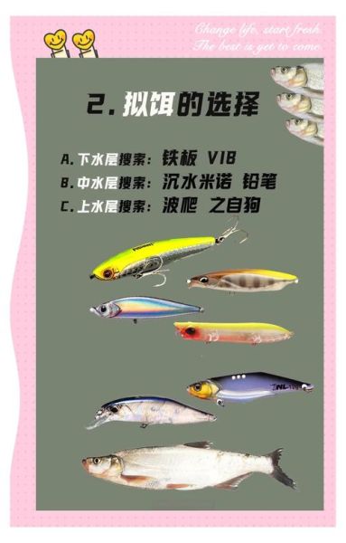 翘嘴鲌怎么钓_翘嘴鲌吃什么饵料-第1张图片-山城妙识 翘嘴鲌怎么钓_翘嘴鲌吃什么饵料-第1张图片-山城妙识