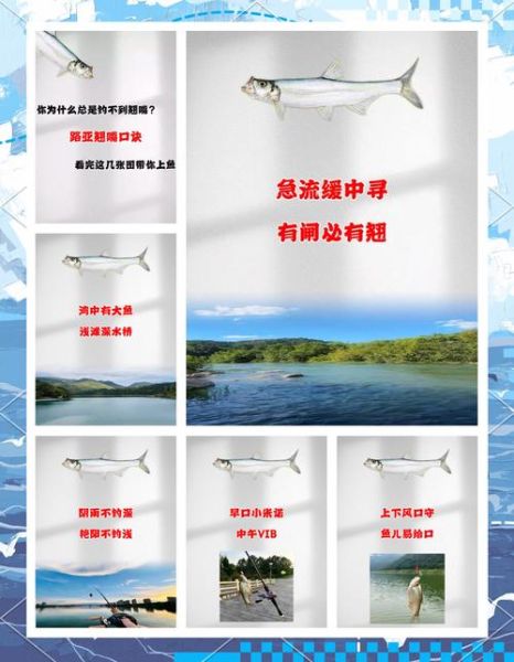翘嘴鲌怎么钓_翘嘴鲌吃什么饵料-第3张图片-山城妙识 翘嘴鲌怎么钓_翘嘴鲌吃什么饵料-第3张图片-山城妙识