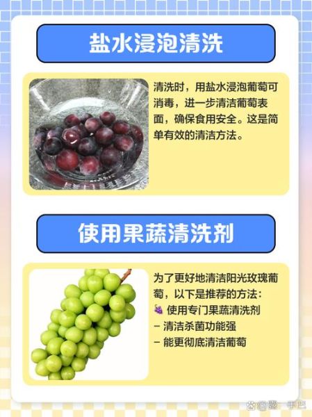 如何洗葡萄最干净_葡萄怎么洗才没有白霜-第3张图片-山城妙识 如何洗葡萄最干净_葡萄怎么洗才没有白霜-第3张图片-山城妙识