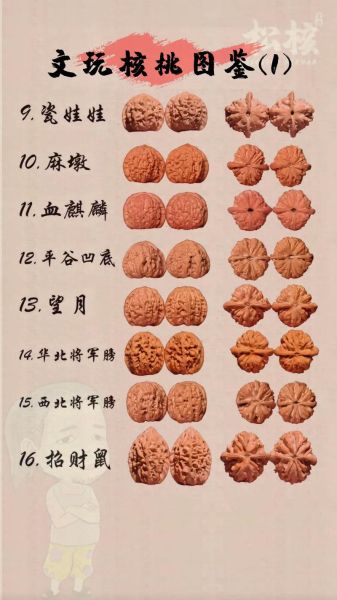 2021文玩核桃前十名_哪些品种值得入手-第2张图片-山城妙识 2021文玩核桃前十名_哪些品种值得入手-第2张图片-山城妙识