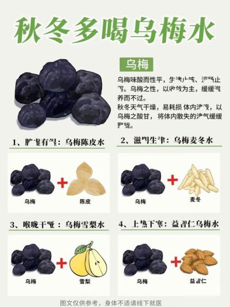 乌梅是清热还是上火_乌梅吃多了会上火吗-第2张图片-山城妙识 乌梅是清热还是上火_乌梅吃多了会上火吗-第2张图片-山城妙识