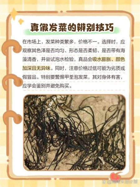 发菜是原核生物吗_发菜属于真核还是原核-第2张图片-山城妙识
