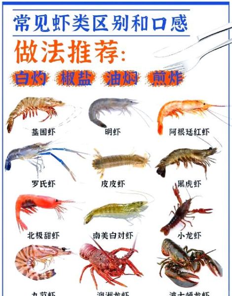 基围虾是河虾还是海虾_基围虾生长环境揭秘-第1张图片-山城妙识