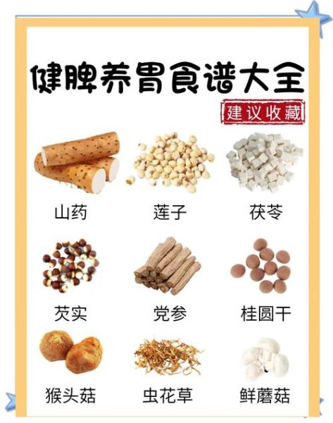 健胃养胃的食物有哪些_胃不好吃什么调理-第3张图片-山城妙识 健胃养胃的食物有哪些_胃不好吃什么调理-第3张图片-山城妙识