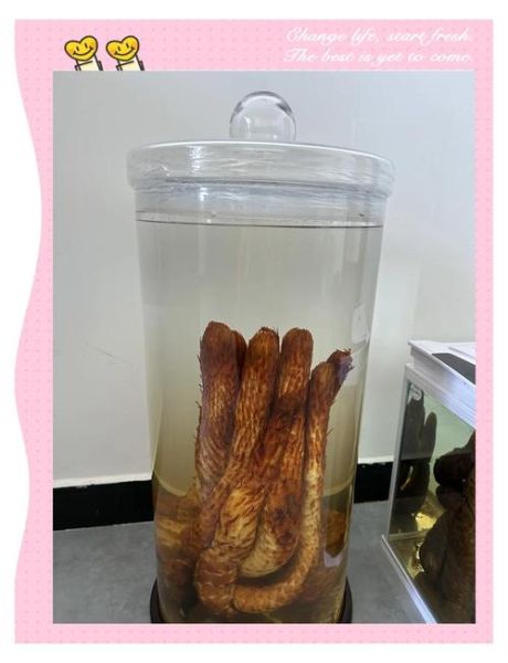 肉松蓉泡酒的功效与作用_肉松蓉泡酒怎么泡-第1张图片-山城妙识