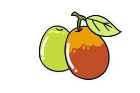 红枣图片大全大图简笔_红枣简笔画怎么画-第2张图片-山城妙识 红枣图片大全大图简笔_红枣简笔画怎么画-第2张图片-山城妙识