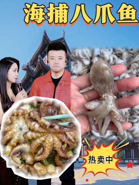 章鱼直播最新版下载_章鱼直播怎么用-第3张图片-山城妙识