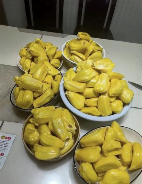 菠萝蜜可以冷冻保存吗_冷冻保存多久-第3张图片-山城妙识 菠萝蜜可以冷冻保存吗_冷冻保存多久-第3张图片-山城妙识