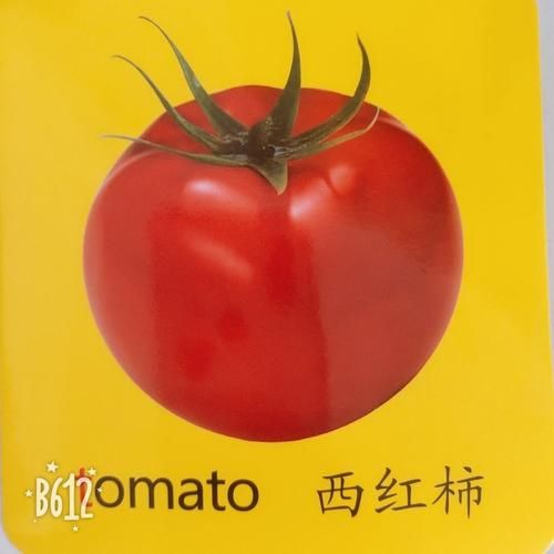 西红柿英语怎么写_tomato复数形式怎么写-第1张图片-山城妙识