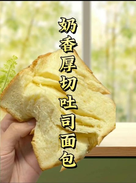 吐司是什么梗_吐司梗怎么来的-第2张图片-山城妙识 吐司是什么梗_吐司梗怎么来的-第2张图片-山城妙识